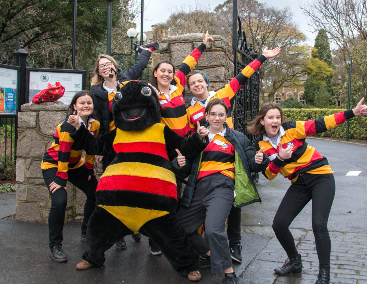 Mickey Bee | Ormond Stories