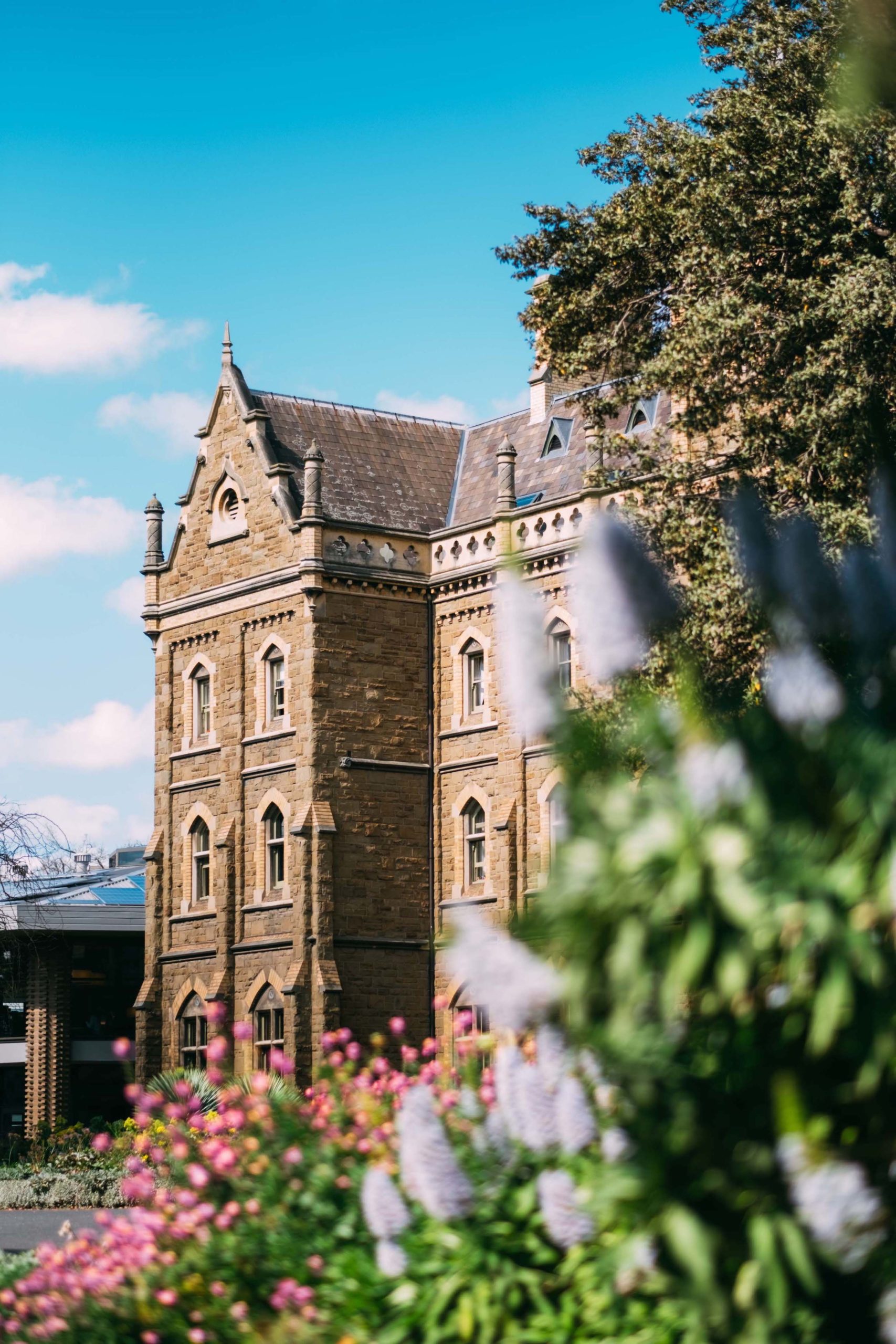 Blooming marvellous | Ormond Stories