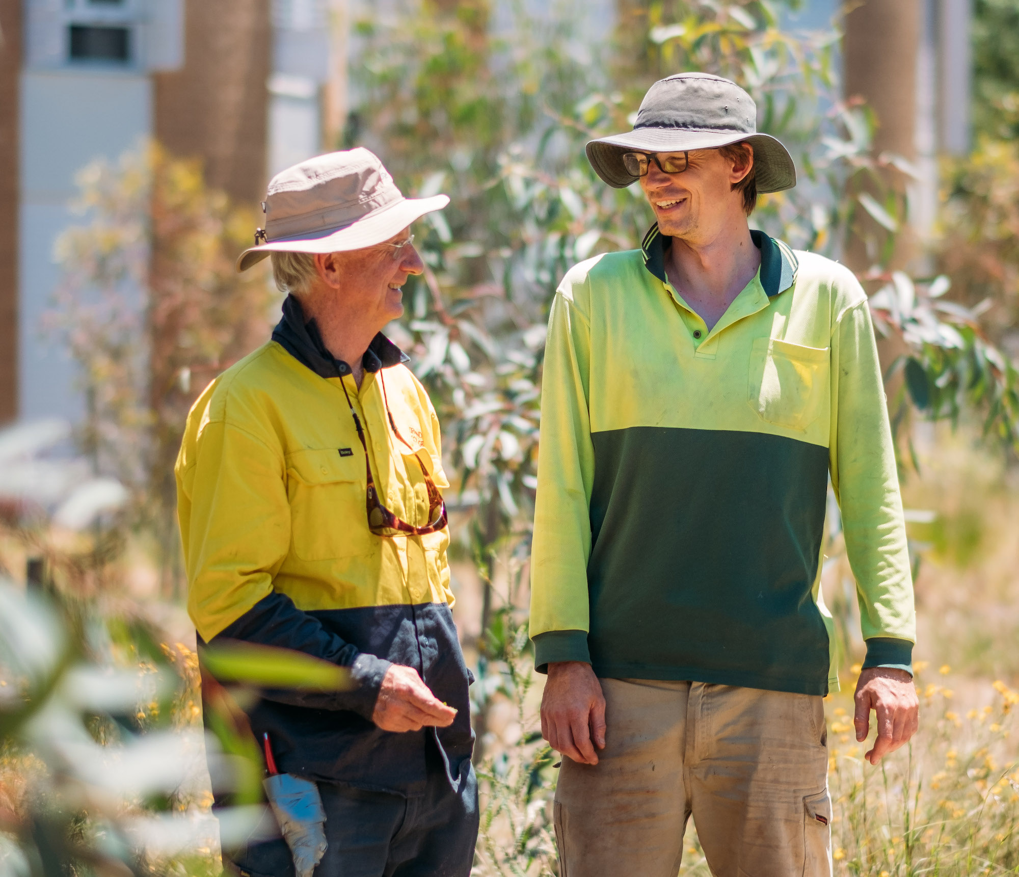 Blooming marvellous | Ormond Stories